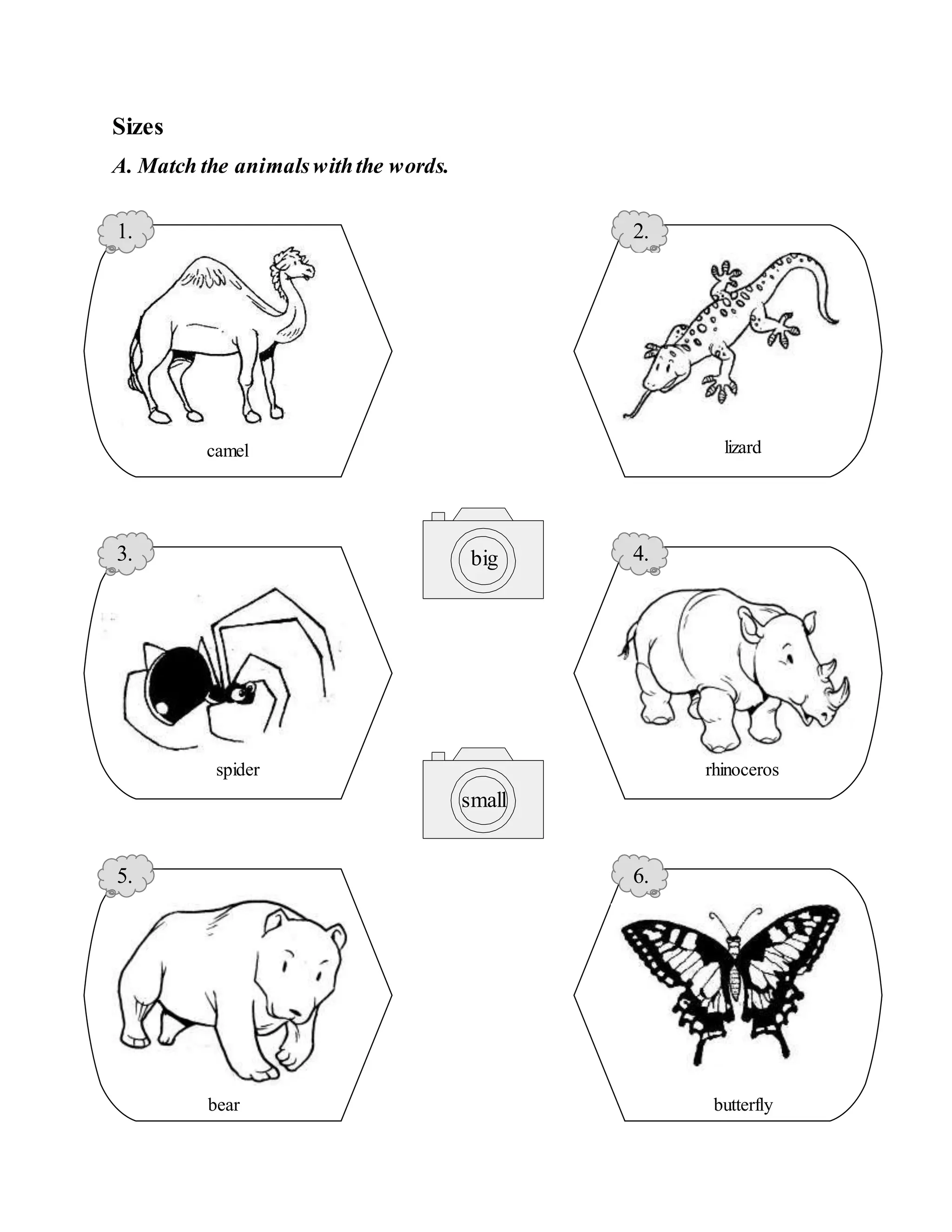 Science exercise year 1 | DOC