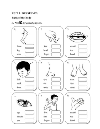 Science exercise year 1 | DOC