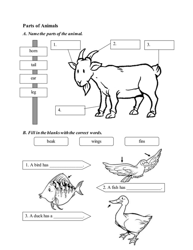 Science exercise year 1 | DOC