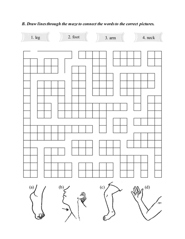 Science exercise year 1 | DOC