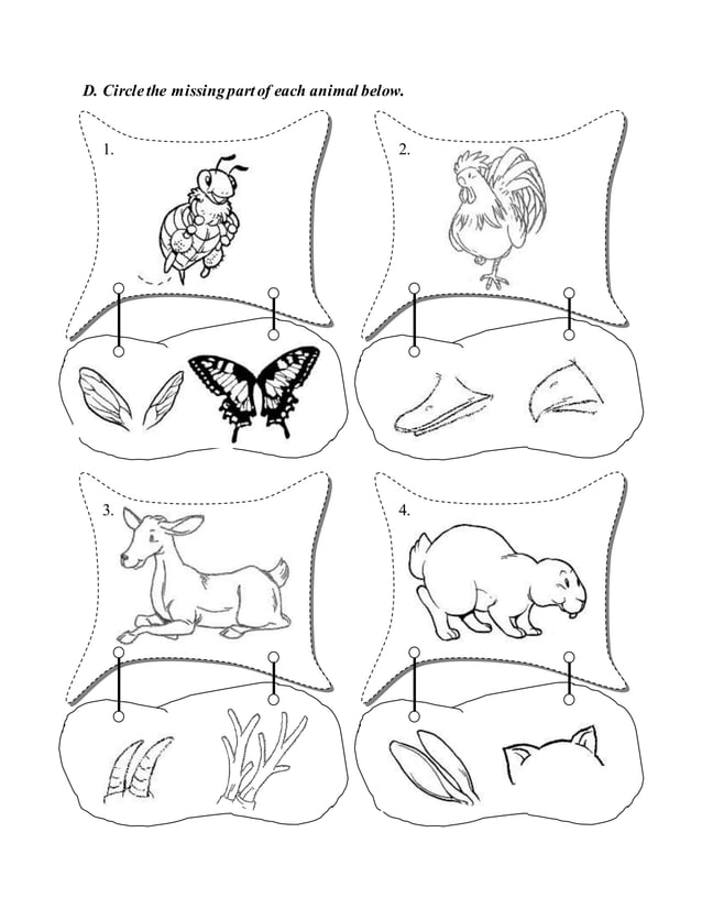 Science exercise year 1 | DOC