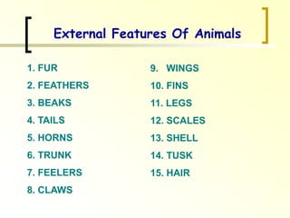 External features of animals | PPTX