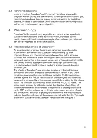 Eucarbon Herbal Tablets | PDF
