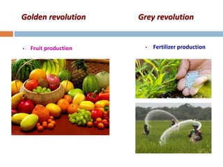 Scientific Agriculture revaluations India | PPT