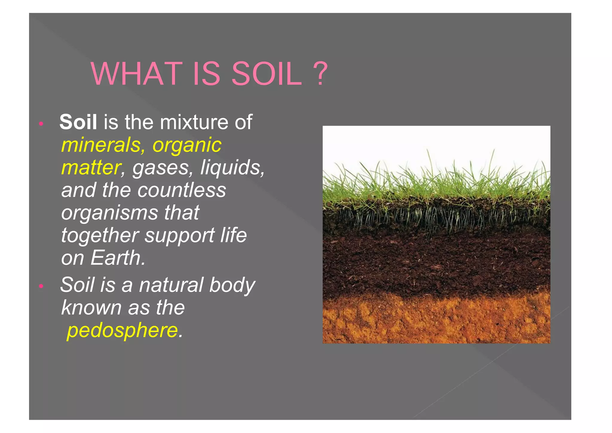 Soil.pptx