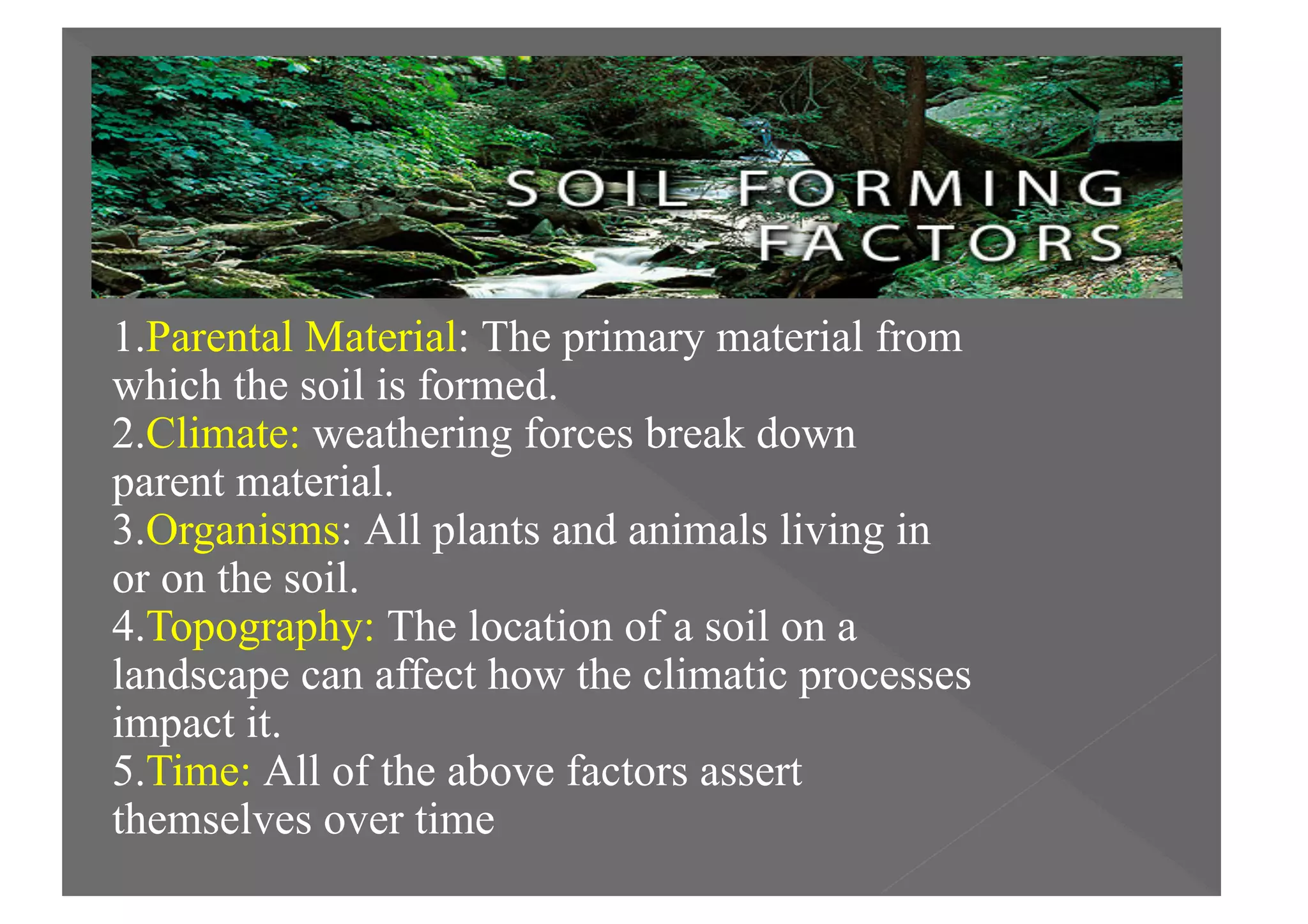 Soil.pptx