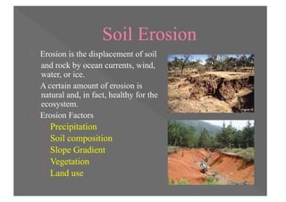 Soil.pptx