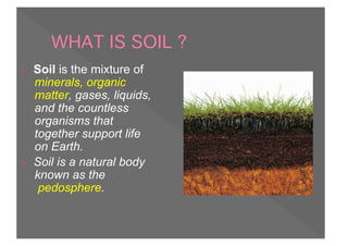 Soil.pptx