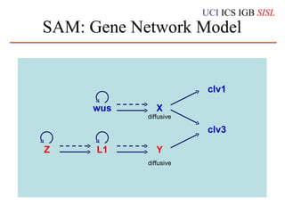 Scientific applications of machine learning | PPT