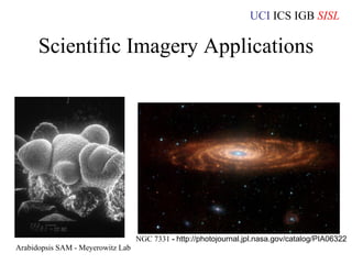 Scientific applications of machine learning | PPT