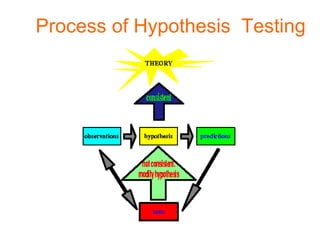 Scientific Method | PPT