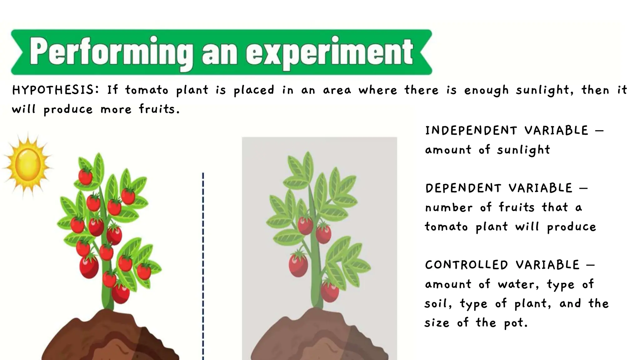 Scientific-Method.pdfScientific-Method.p | PDF