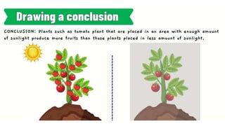 Scientific-Method.pdfScientific-Method.p | PDF