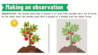 Scientific-Method.pdfScientific-Method.p | PDF
