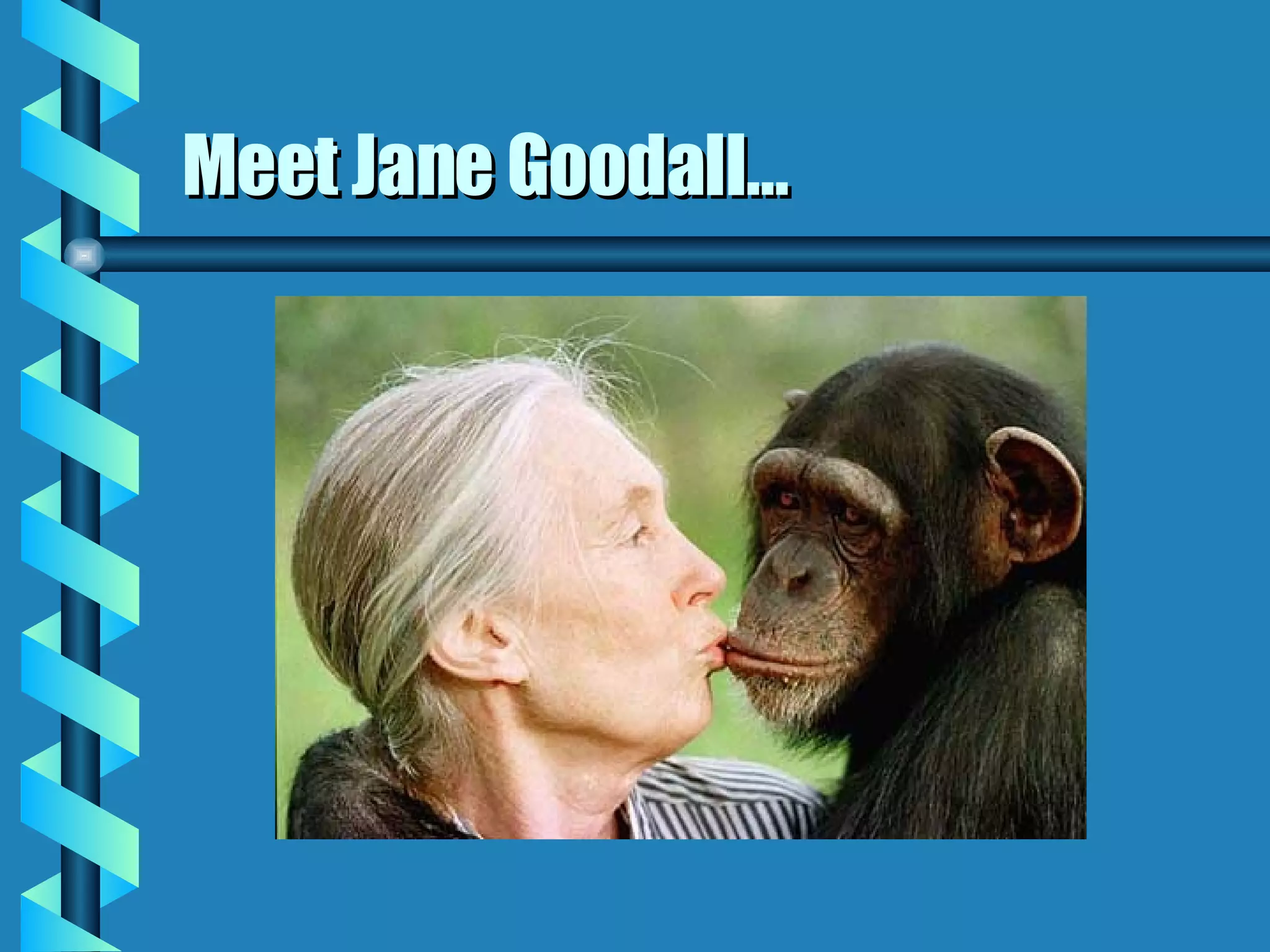 Scientific Method Steps and Song | PPT