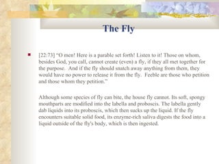 Scientific Miracles In The Quran | PPT
