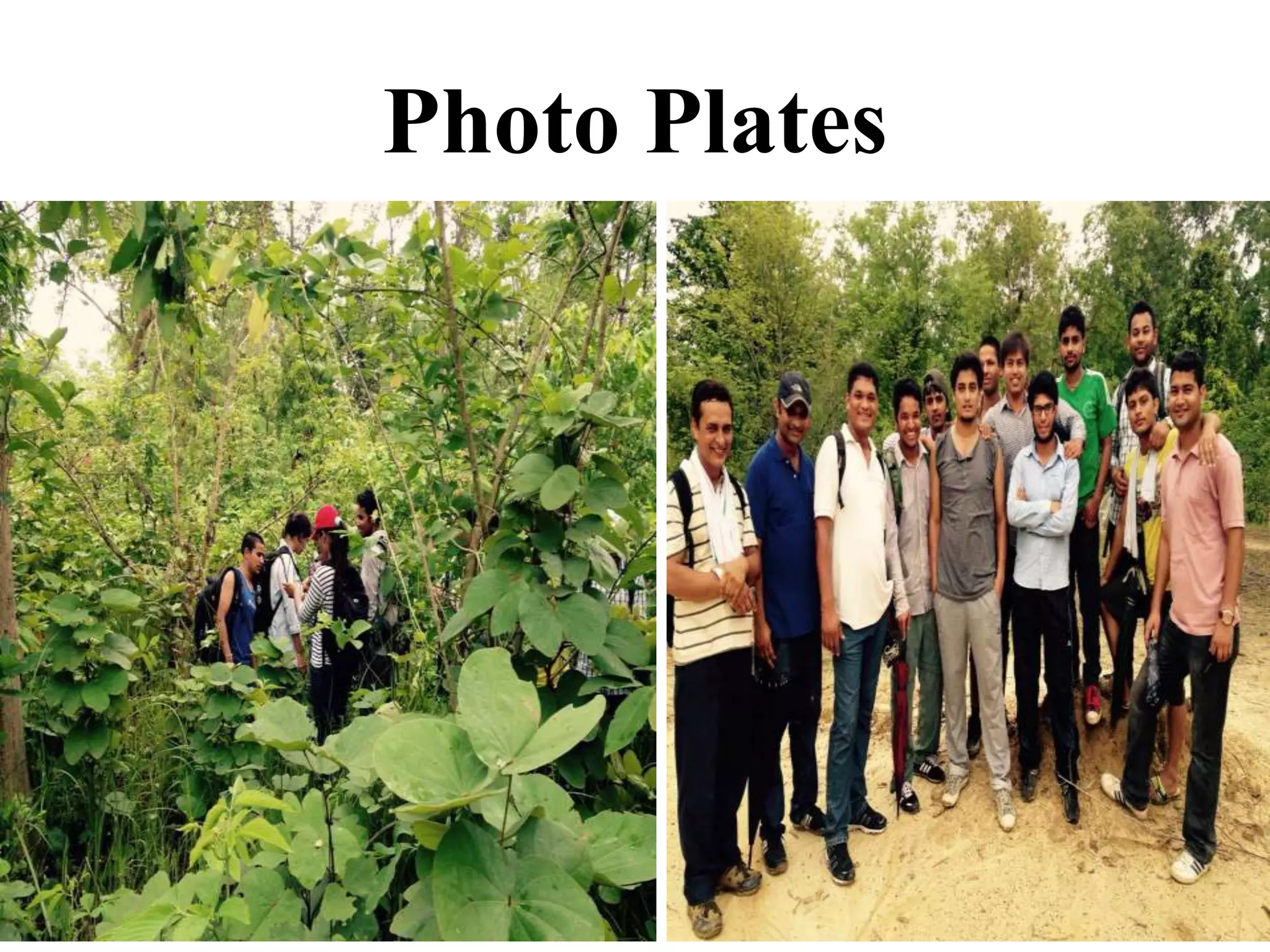 Scientific forest management kapilvastu(2072) | PPTX