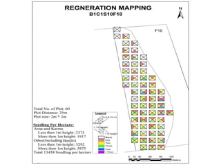 Scientific forest management kapilvastu(2072) | PPTX
