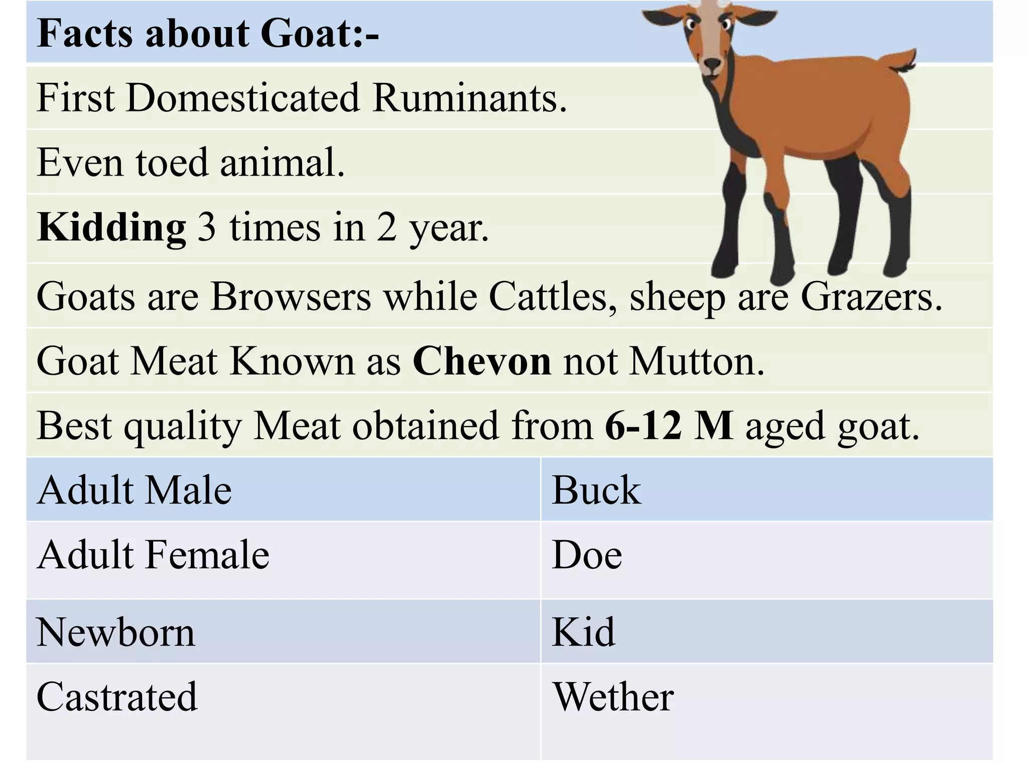 Scientific Goat Farming | PDF