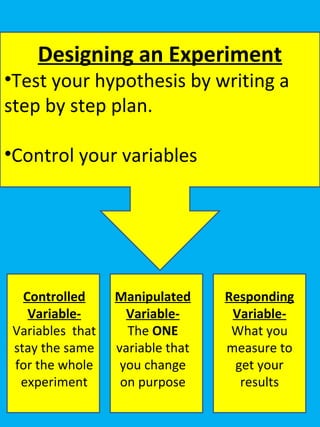 Scientific inquiry | PPT | Bath and Shower | Personal Care