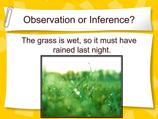 Scientific inquiry, observation vs. inference | PDF | Birdwatching ...