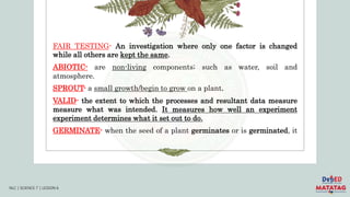 SCIENTIFIC INVESTIGATION-HOW MUCH WATERING.LESSON 6.pptx | Gardening ...