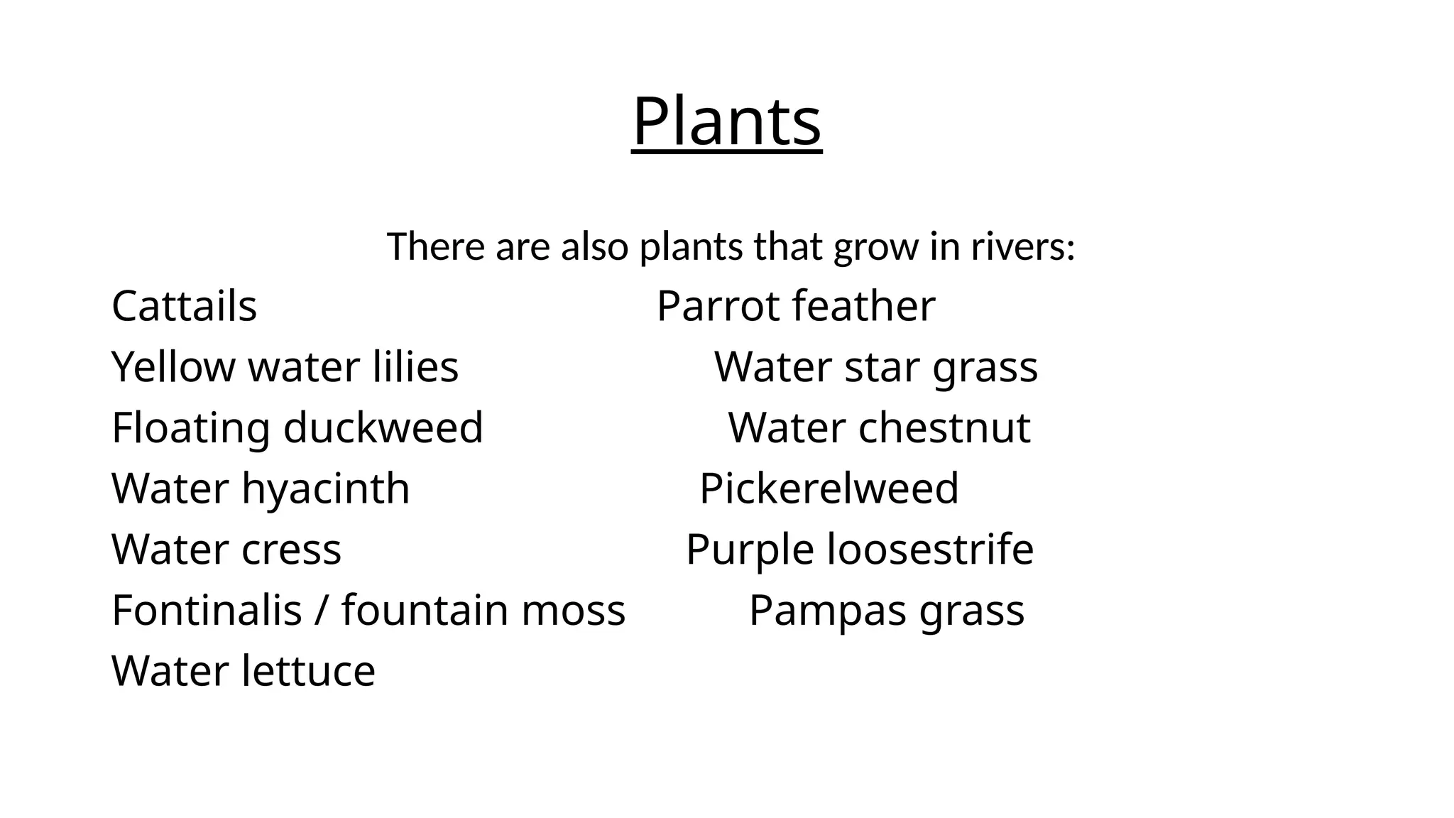 Scientific Life of Riversand natural forms.pptx