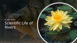 Scientific Life of Riversand natural forms.pptx