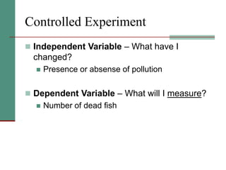 Scientific Method | PPT