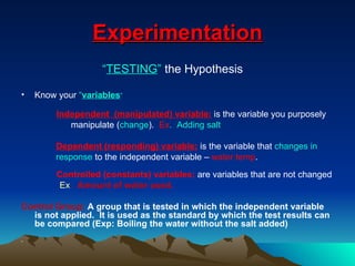 Scientific Method | PPT | Physics | Science