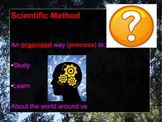 Scientific Method Intro | PPT