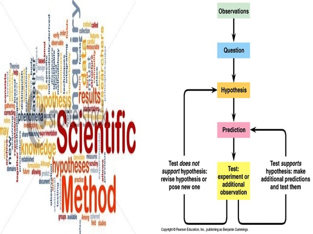 Scientific Method | PPT | Free Download