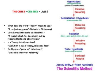 Scientific Method | PPT | Free Download