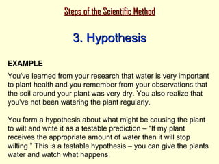 The Process of The Scientific Method | ODP