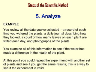 The Process of The Scientific Method | ODP