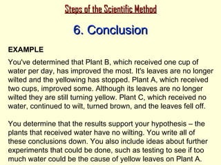 The Process of The Scientific Method | ODP