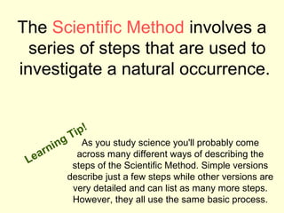 The Process of The Scientific Method | ODP