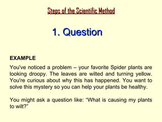 The Process of The Scientific Method | ODP