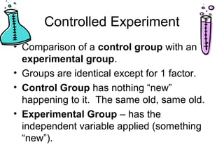 Scientific method | PPT