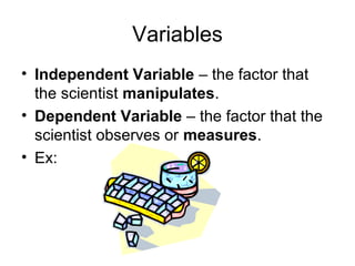Scientific method | PPT