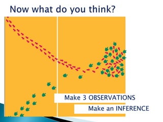 Scientific method | PPT