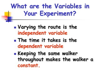 Scientific method | PPT