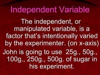 Scientific Method | PPT