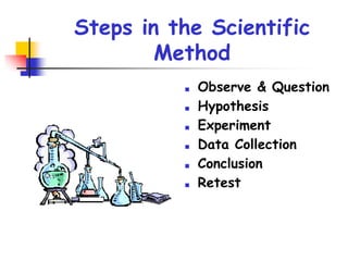 Scientific method (Biology A) | PPTX