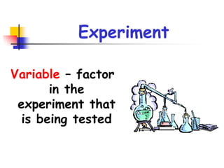 Scientific method (Biology A) | PPTX