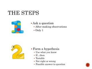 Scientific Method and Model Notes | PPT