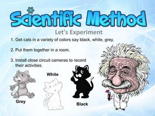 Scientific Method Explainer | PPT