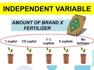 Scientific method | PPTX