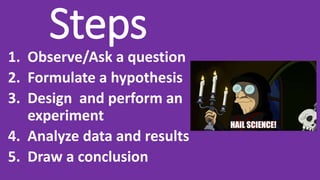 Scientific Method for Grade 7 Students | PPTX