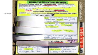 Scientific Method.pptx